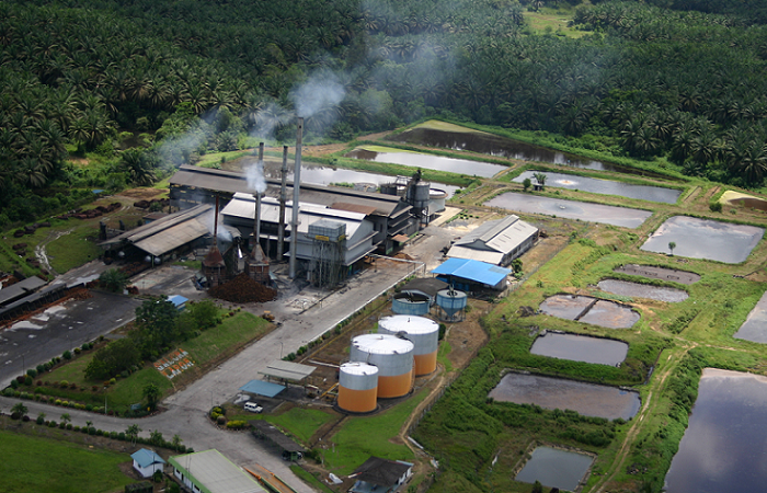 Energy Efficient Palm Oil Mills – VIRIDIS Engineering Sdn Bhd